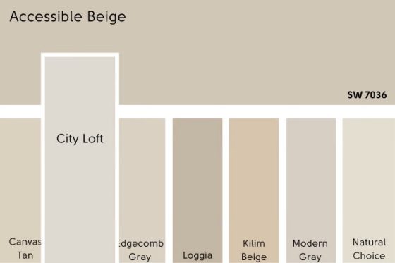Sherwin Williams City Loft SW 7631: A Must-Read Review - EdgeFurnish