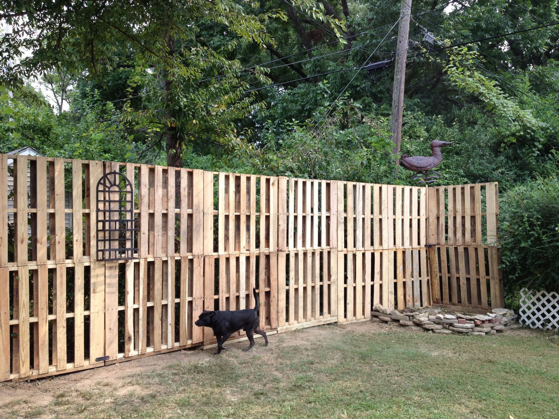 25 Budget-Friendly Dog Fence Ideas and Designs for 2023 - EdgeFurnish
