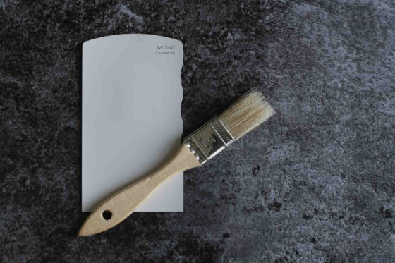 Sherwin Williams Crushed Ice SW 7647 Paint Color Review - EdgeFurnish