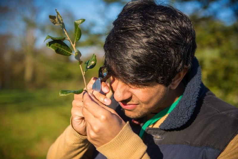 Soil Mites: How to Identify & Get Rid of Them - EdgeFurnish