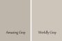 Sherwin Williams Worldly Gray Paint Color Review - EdgeFurnish